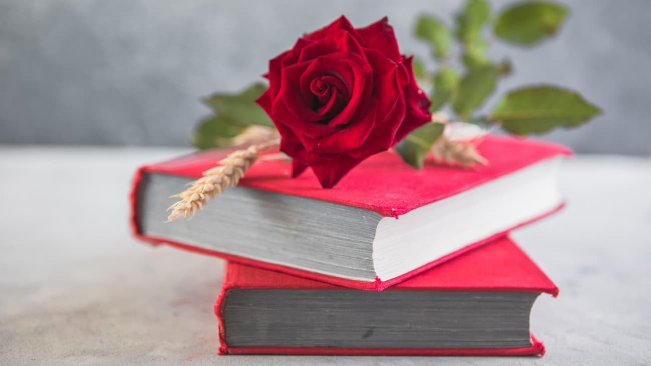 ¿Por qué se celebra el Día del Libro el día 23 de abril?