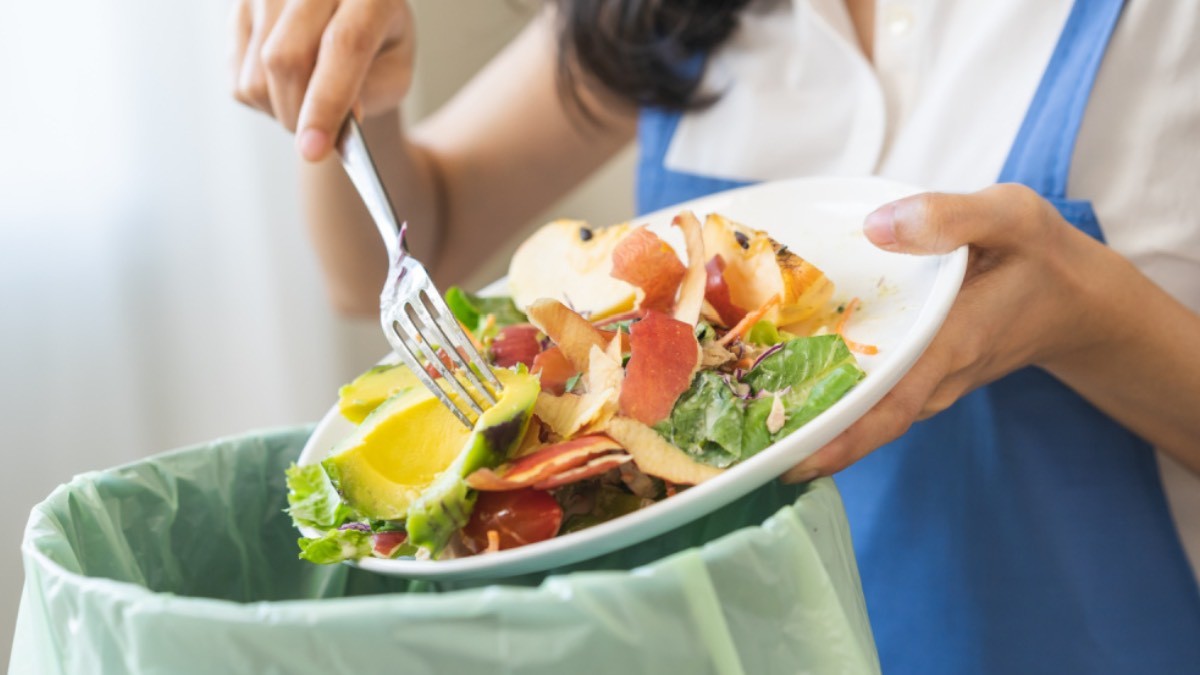 La multa de hasta 500.000 euros que prevé el Gobierno por tirar comida