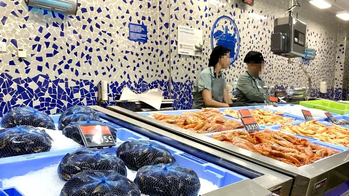 Ni langostinos ni almejas: el nuevo marisco ‘made in Spain’ que arrasa ...